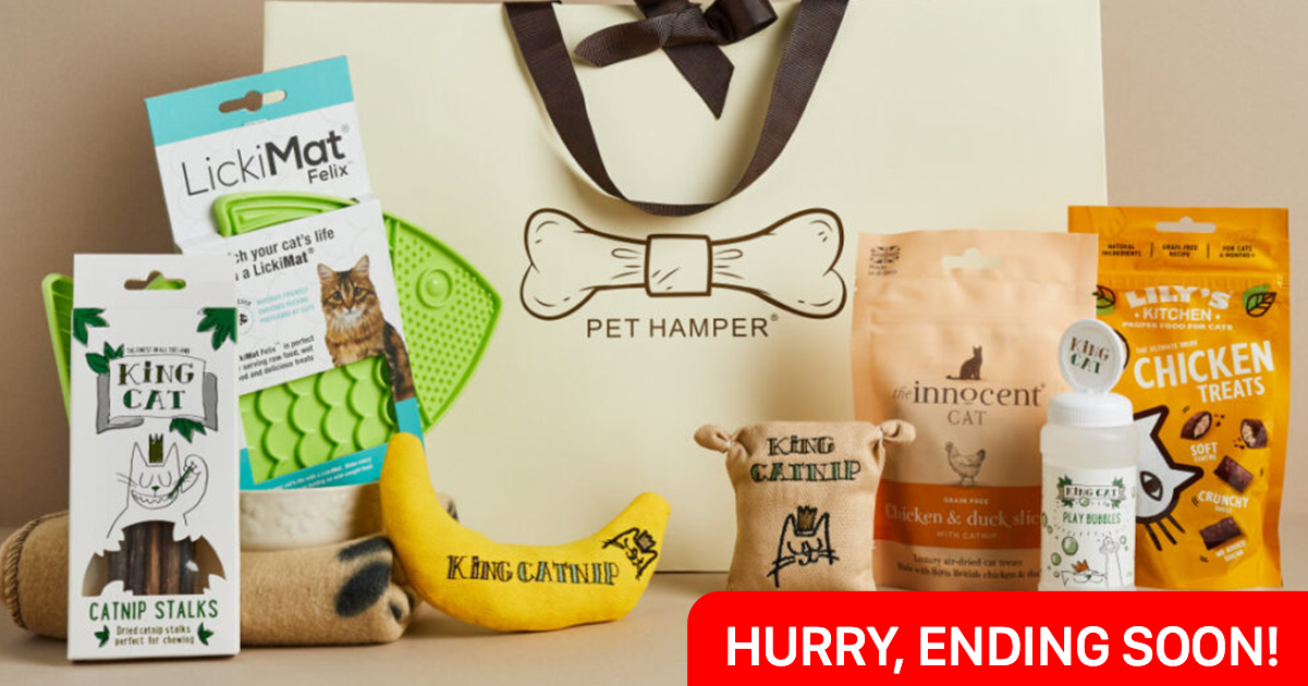 WIN this Luxury Cat Hamper | Snizl Ltd Free Competition