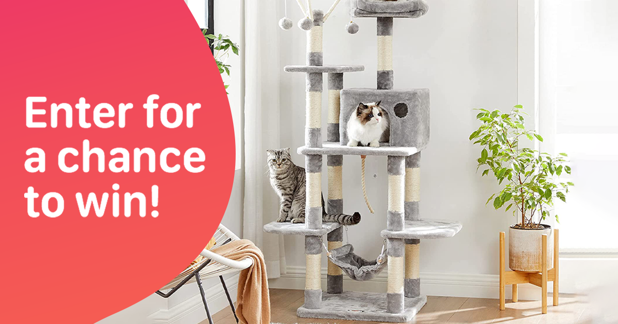 WIN the Ultimate Cat Tower | Snizl Ltd Free Competition