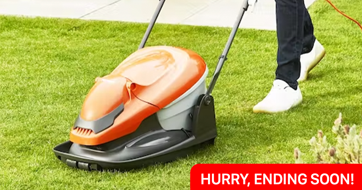 WIN this Flymo EasiGlide 300 Hover Collect Lawn Mower | Snizl Ltd Free ...