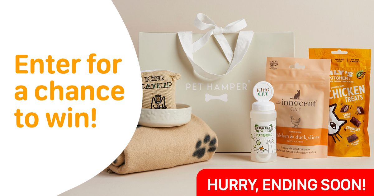 WIN this Luxury Original Cat Hamper | Snizl Ltd Free Competition