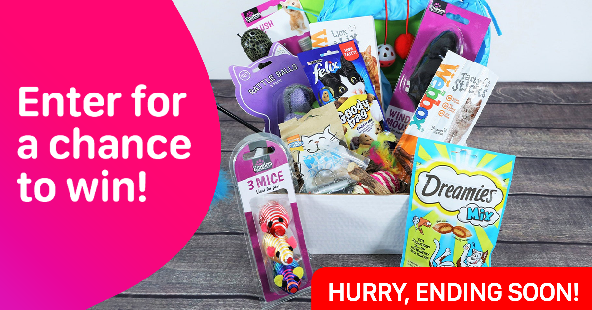 WIN this Luxury Cat Gift Box Hamper | Snizl Ltd Free Competition